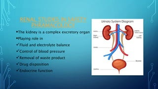 Safety pharmacology study2.pptx