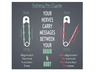 Safety pin cycle | PPTX
