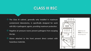 Safety Precautions in Viral Laboratory.pptx