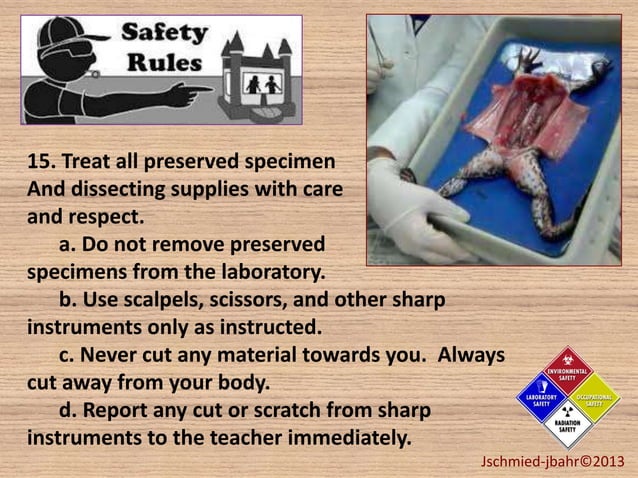 Safety Rules, Procedures, and Equipment | PPTX | First Aid | Injuries