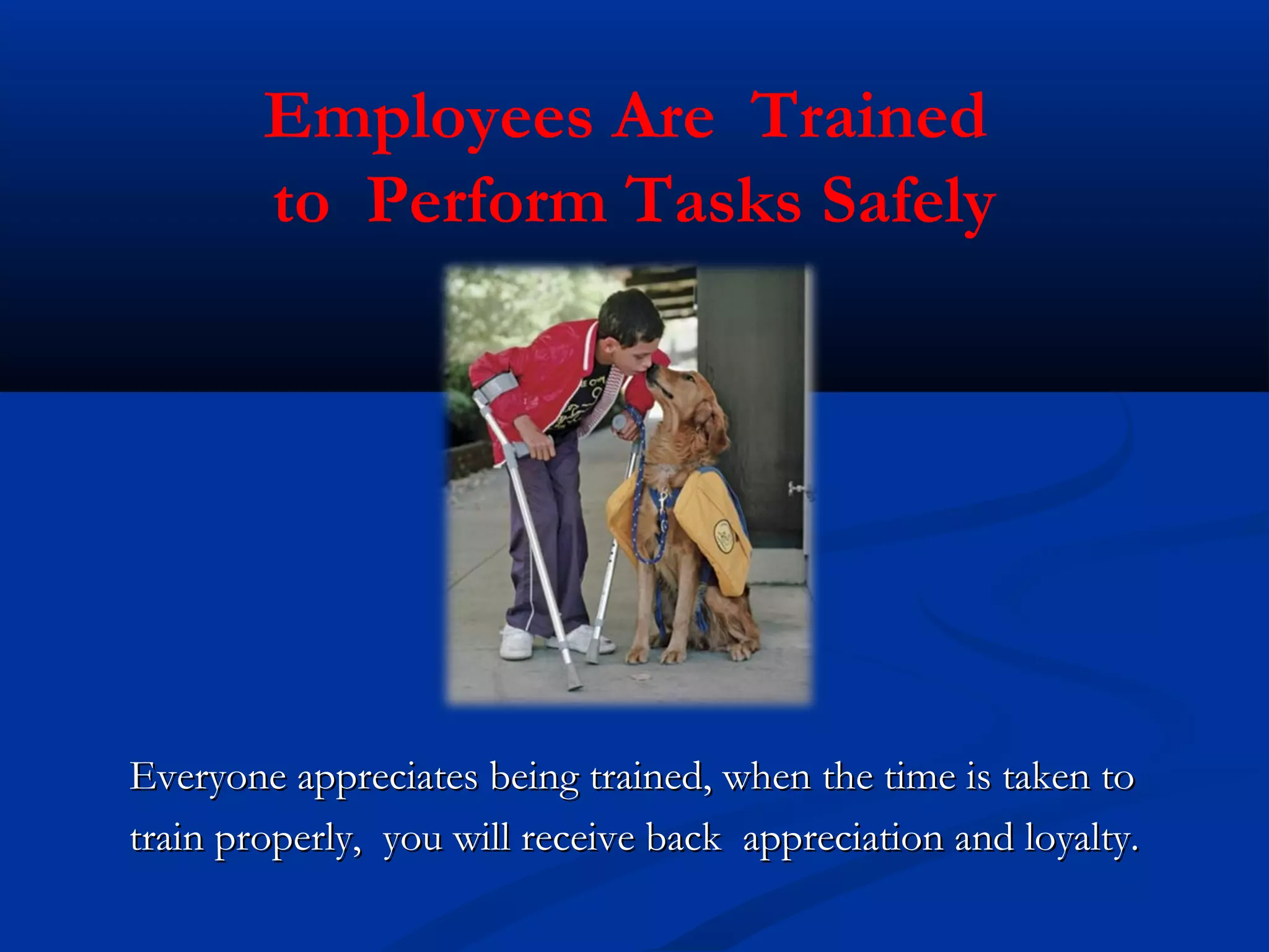 Safety Pyramid | PPT