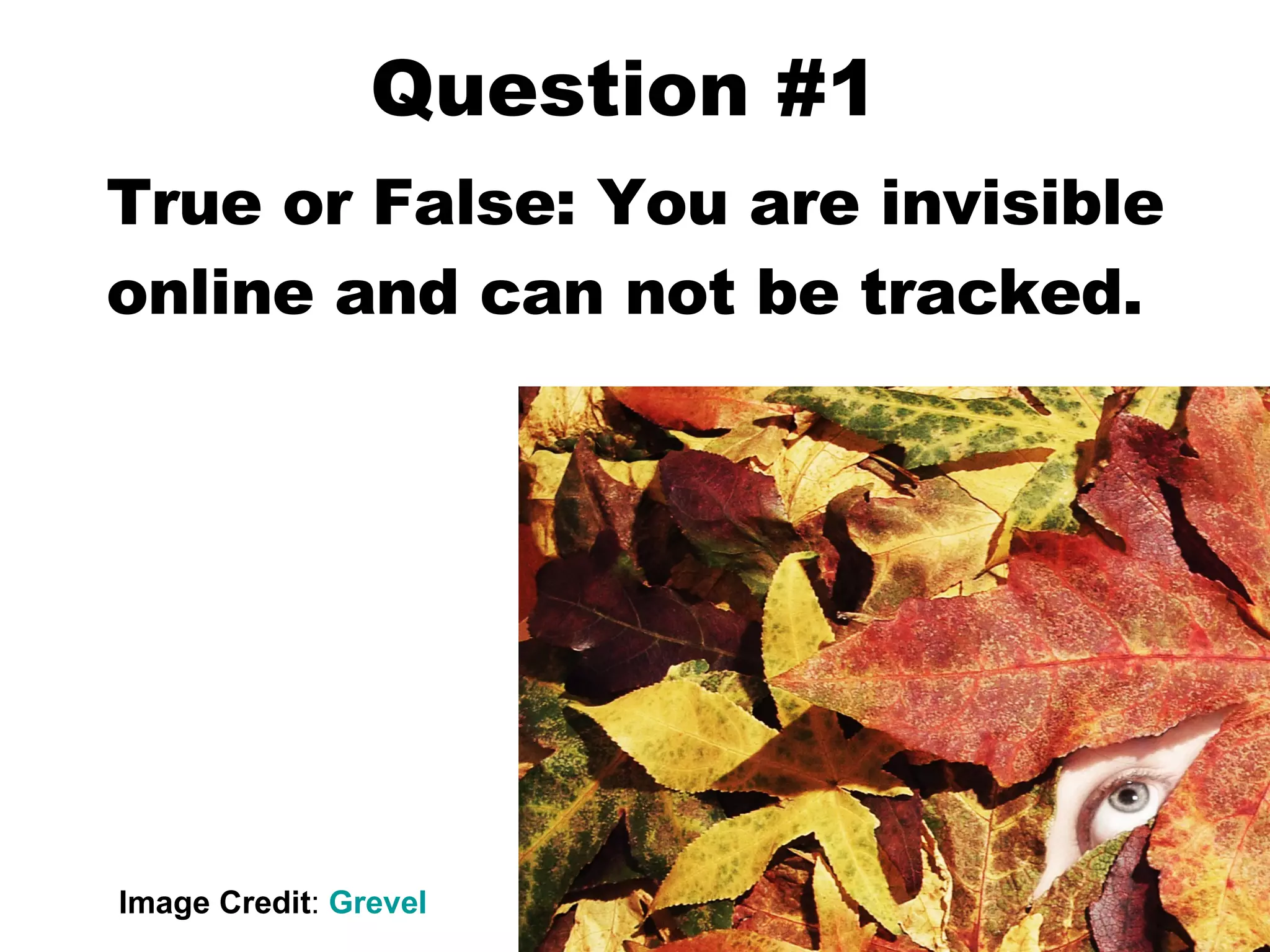 COWs: Safety Lesson I | PPT