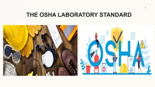 Safety standard Safety standard (OSHA).pptx