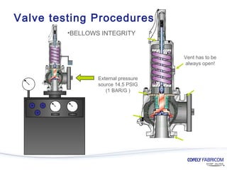 Testing of Safety Valves | PPT
