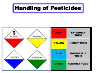 Safe use of pesticides | PDF
