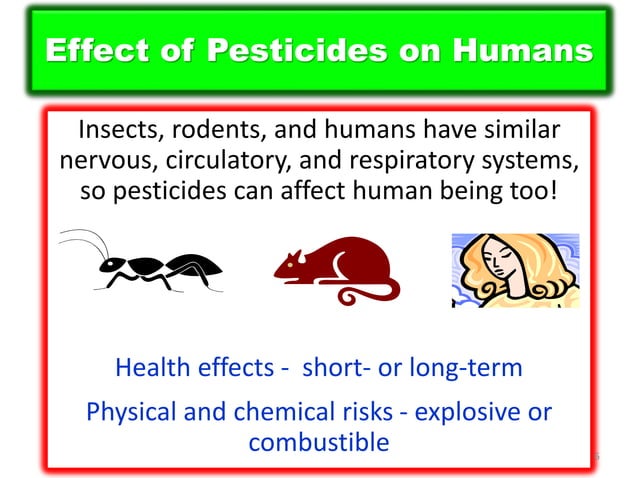 Safe use of pesticides | PDF | Gardening | Home & Garden
