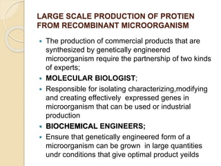 fermentationpresentation | PPTX | Biotech and Biomedical Industry | Industries