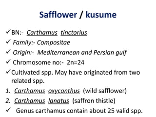 Safflower | PPTX
