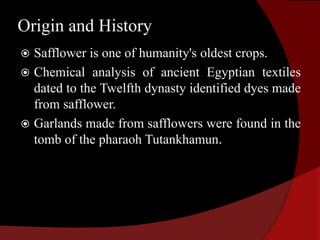 Production Technology of Safflower | PPTX