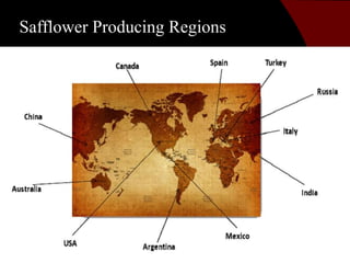 Production Technology of Safflower | PPTX