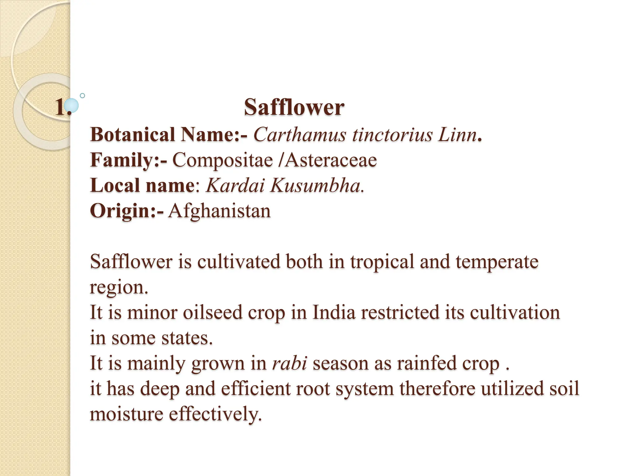 Safflower.pptx Details cultivation practices of safflower | PPTX