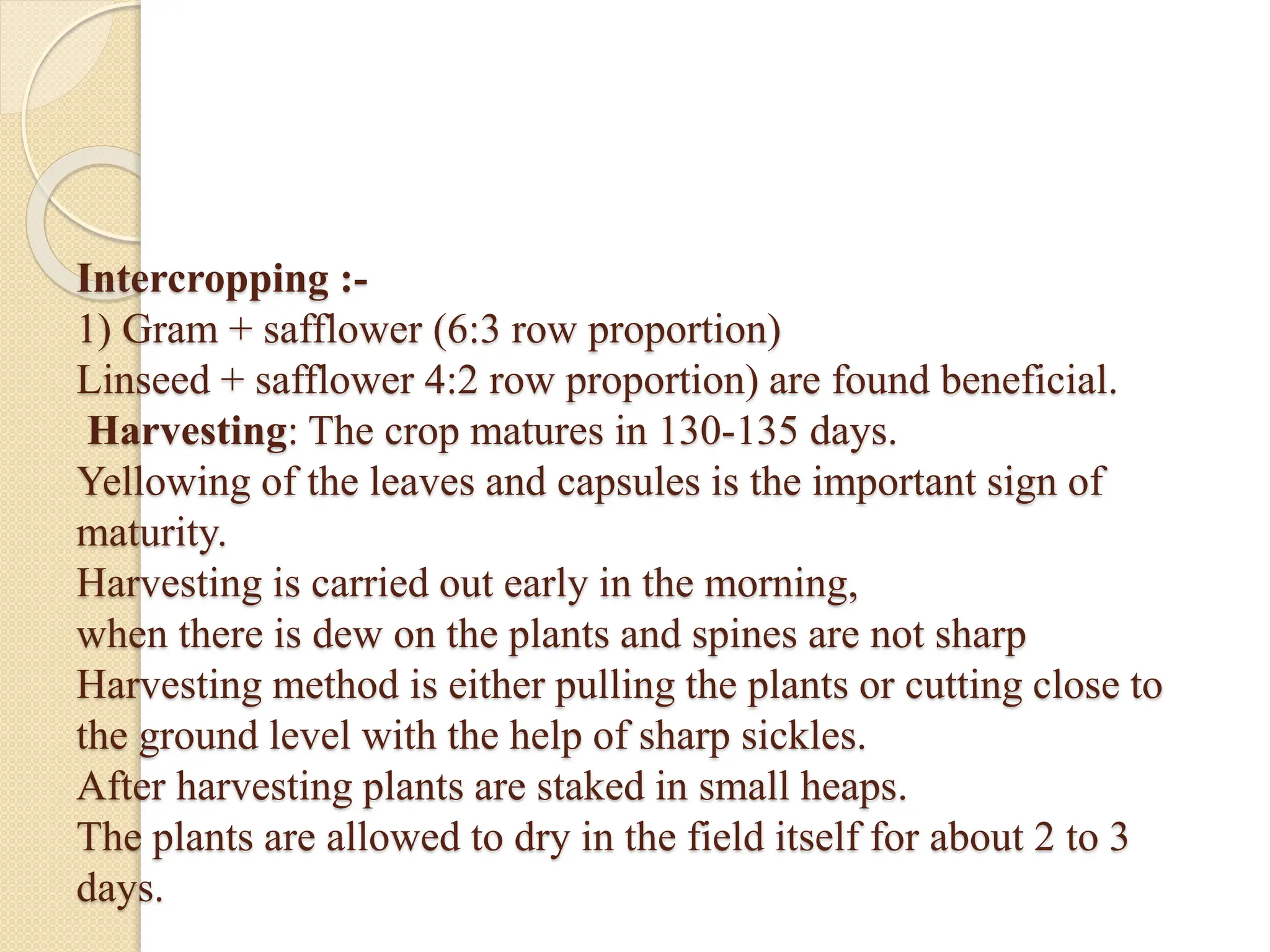 Safflower.pptx Details cultivation practices of safflower | PPTX