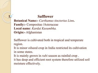 Safflower.pptx Details cultivation practices of safflower | PPTX