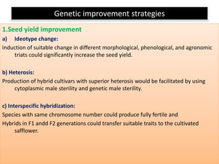 Safflower breeding | PPTX
