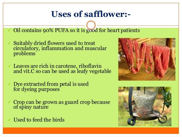 Safflower Oil Structure