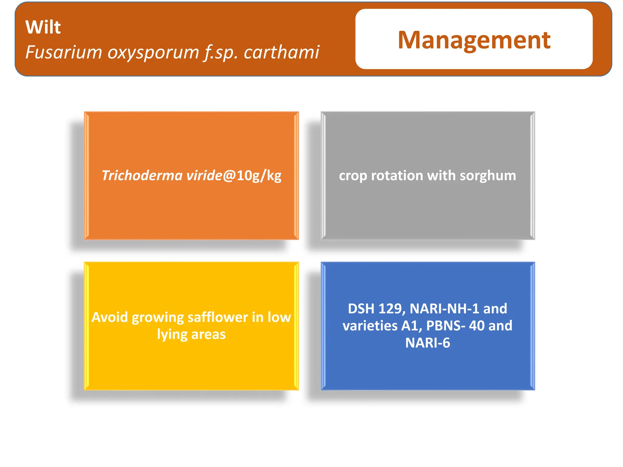 Safflower diseases.pdf ...