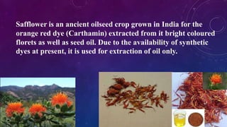 Safflower | PPTX