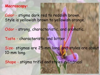 Saffron | PPT