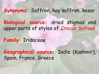 Saffron | PPT