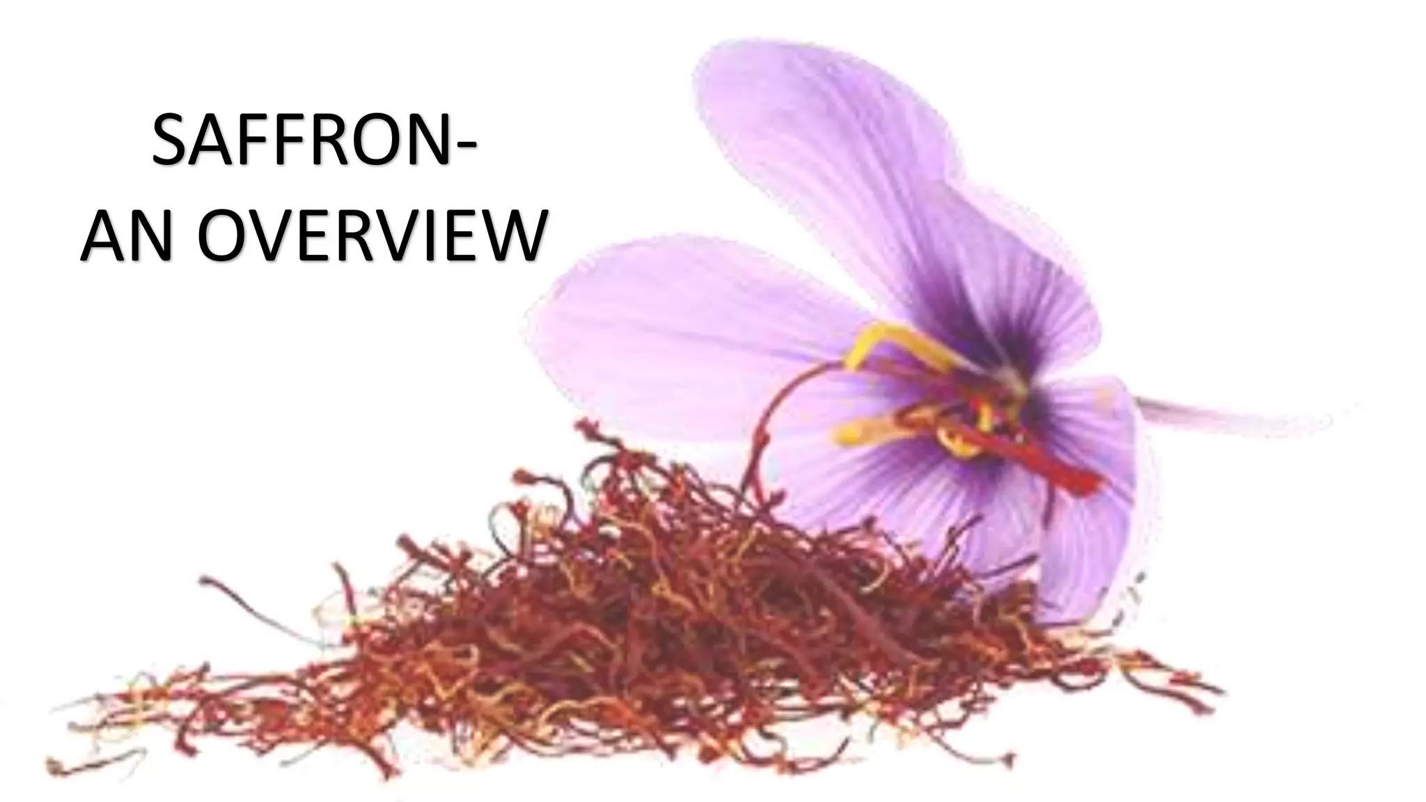 Saffron.pptx