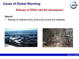 What Are the Causes of Climate Change?.ppt