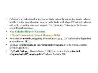 Overview of calcium in human muscles.pptx