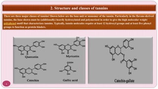 Tannin Structure