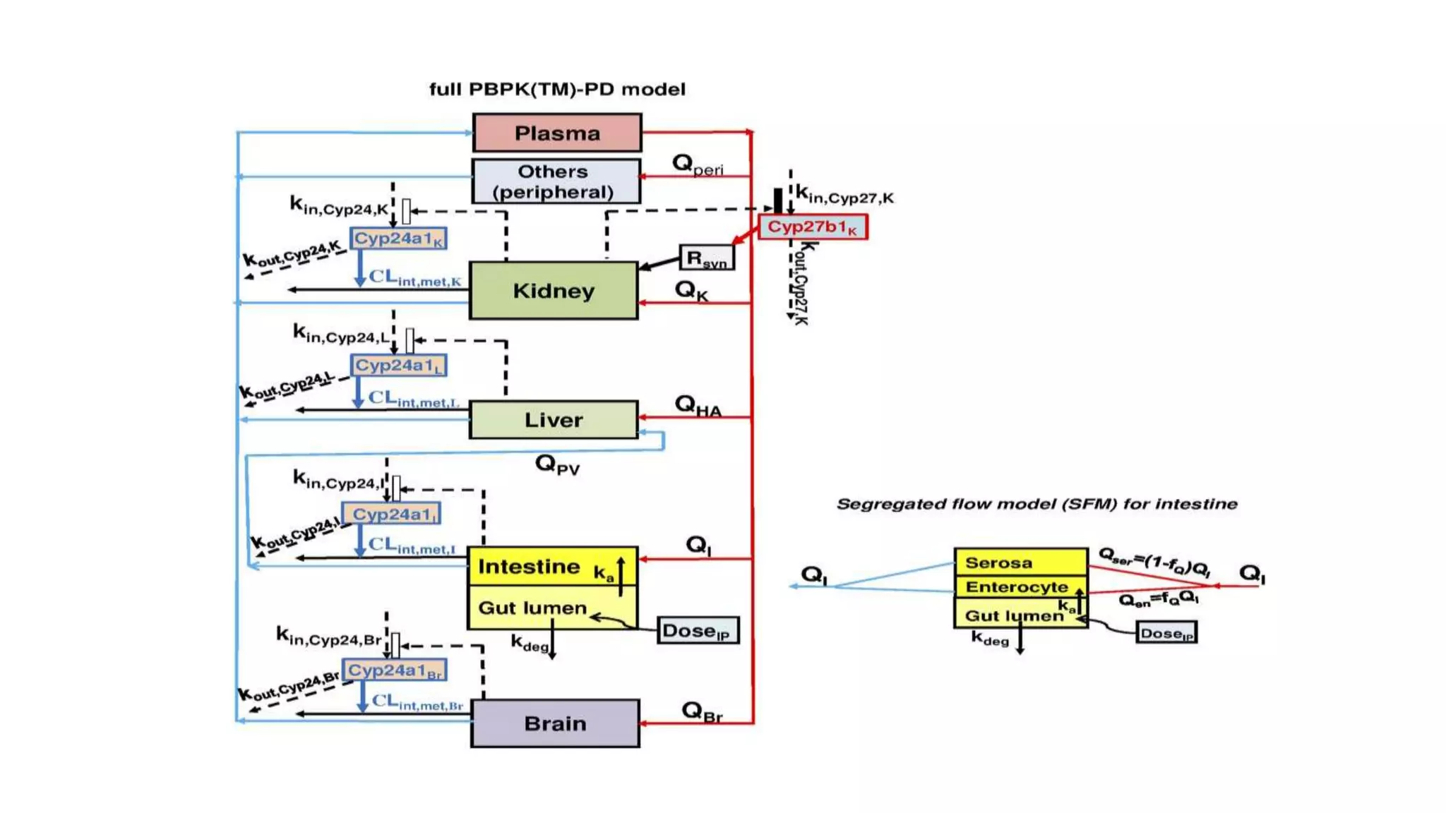 COMPUTER SIMULATIONS IN PHARMACOKINETICS & PHARMACODYNAMICS | PPTX
