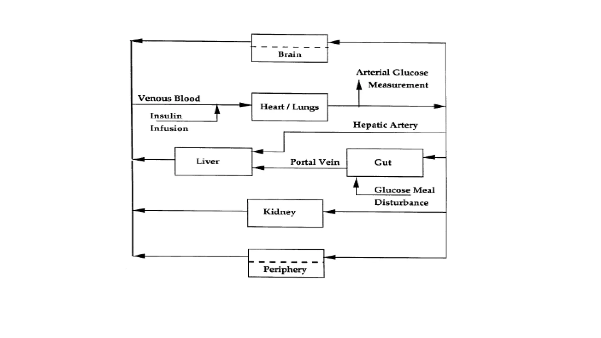 COMPUTER SIMULATIONS IN PHARMACOKINETICS & PHARMACODYNAMICS | PPTX