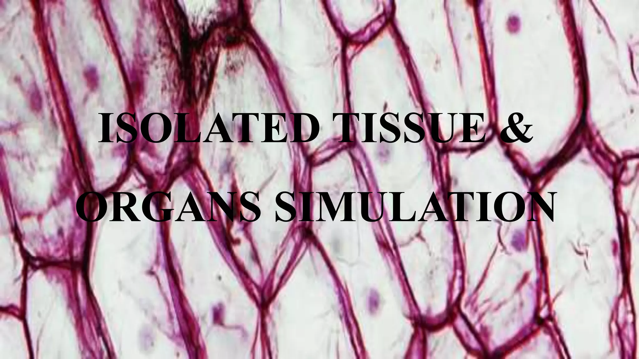 COMPUTER SIMULATIONS IN PHARMACOKINETICS & PHARMACODYNAMICS | PPTX
