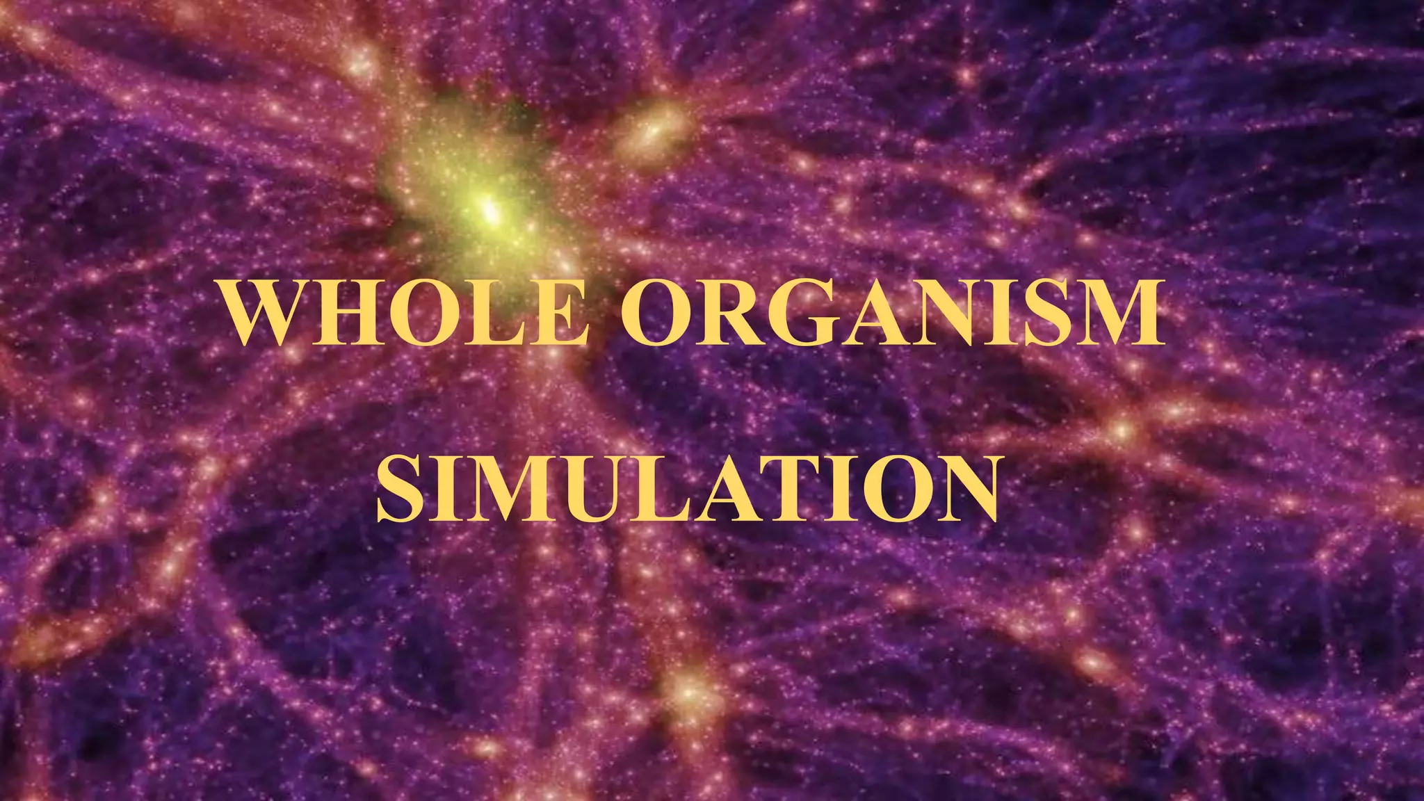 COMPUTER SIMULATIONS IN PHARMACOKINETICS & PHARMACODYNAMICS | PPTX