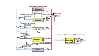 COMPUTER SIMULATIONS IN PHARMACOKINETICS & PHARMACODYNAMICS | PPTX