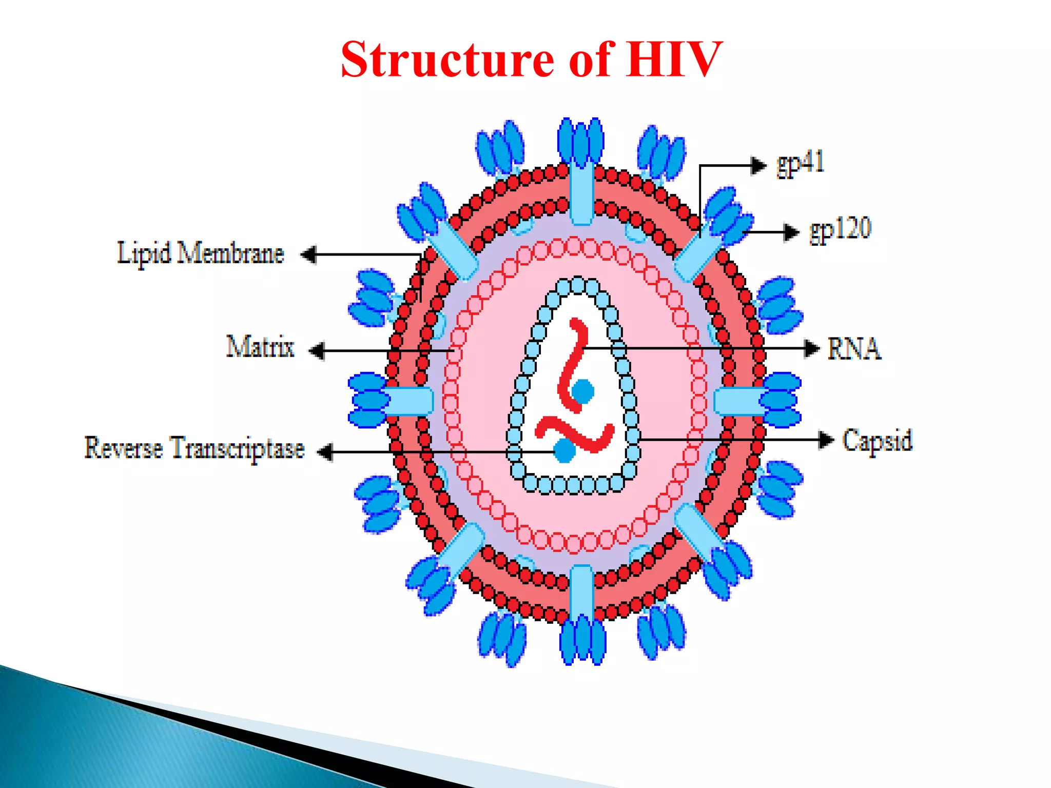 AIDS (HIV INFECTION) & ART (M. PHARM PHARMACOLOGY SEM-III) | PPTX