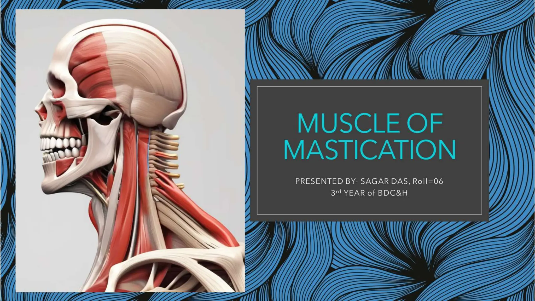 MUSCLE OF MASTICATION(a Review of anatomy).pptx