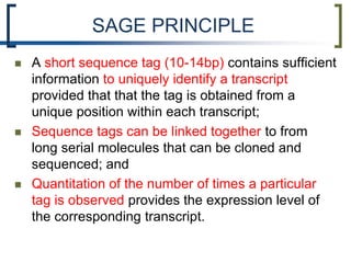 Sage | PPTX
