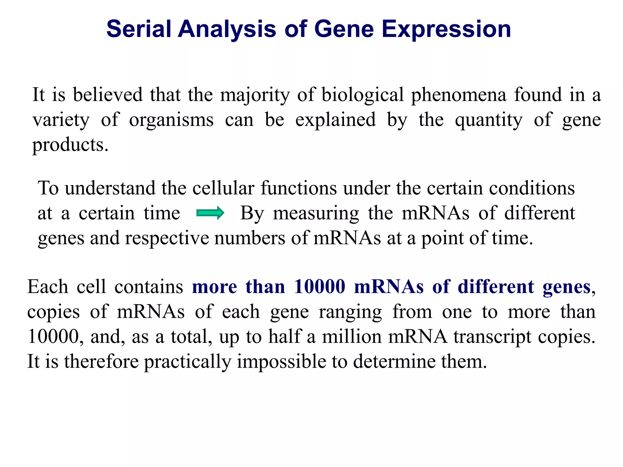 SAGE- Serial Analysis of Gene Expression | PPTX