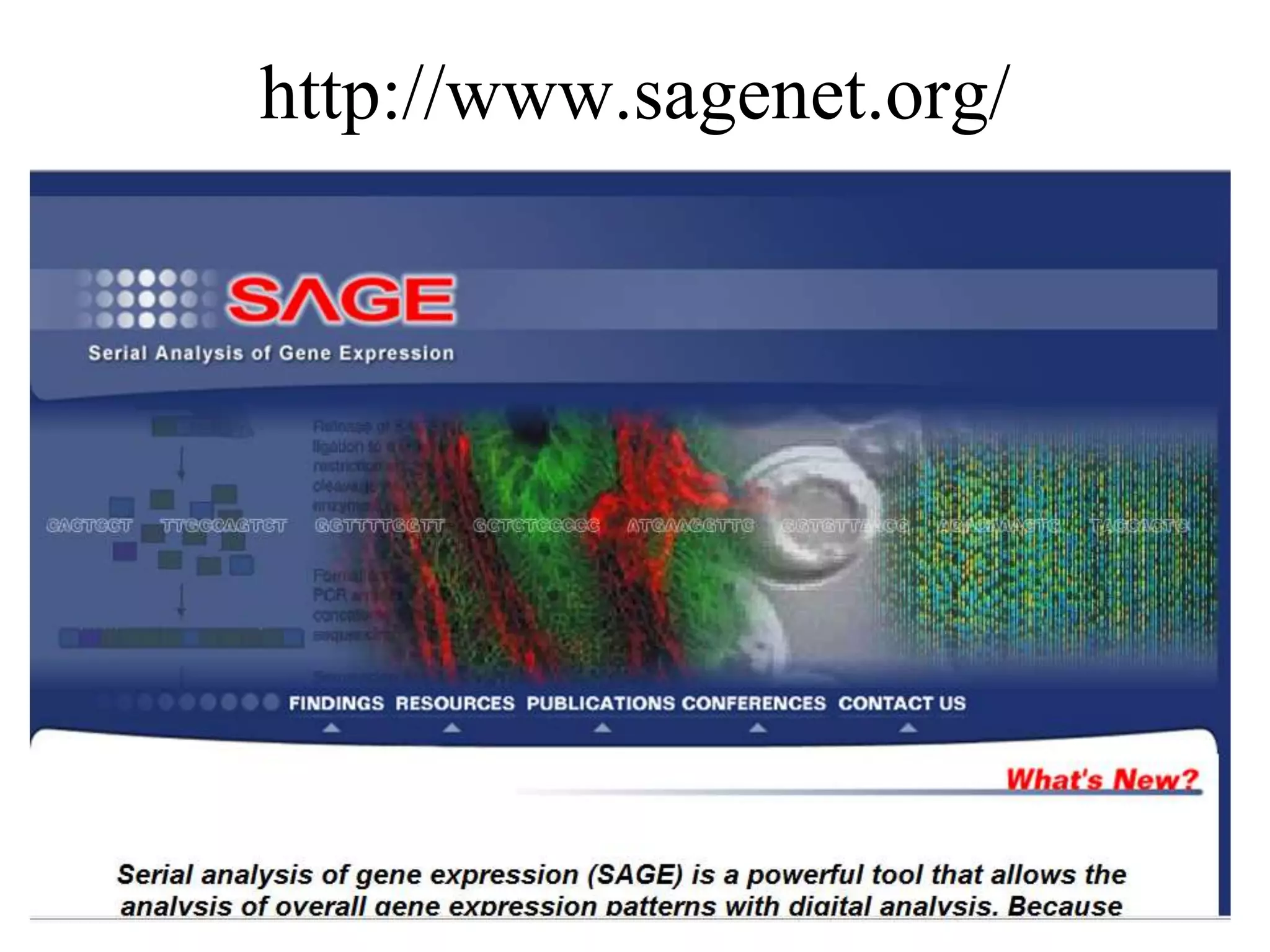SAGE- Serial Analysis of Gene Expression | PPTX
