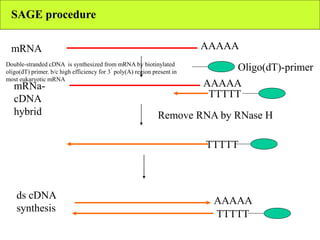 SAGE- Serial Analysis of Gene Expression | PPTX