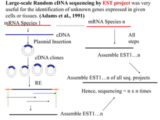 SAGE- Serial Analysis of Gene Expression | PPTX