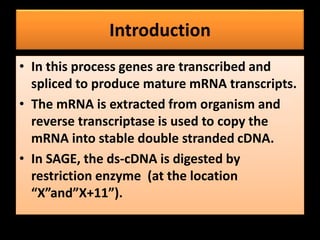 Sage - serial analysis of gene expression | PPTX