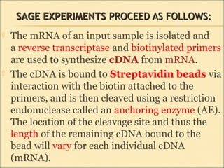 Sage | PPT | Genetics | Science