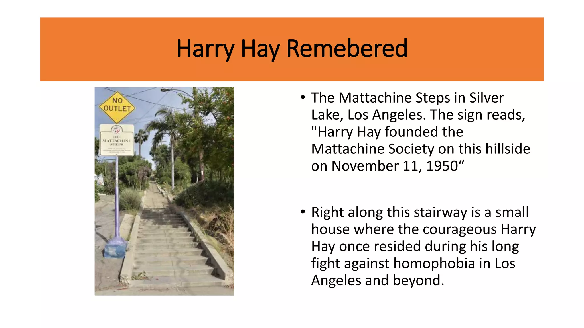 Homophile Movement Part 3 | PPTX