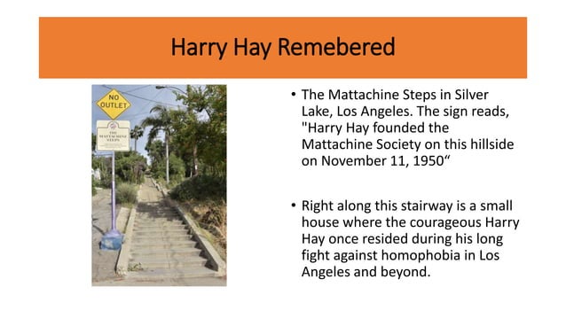 Homophile Movement Part 3 | PPT