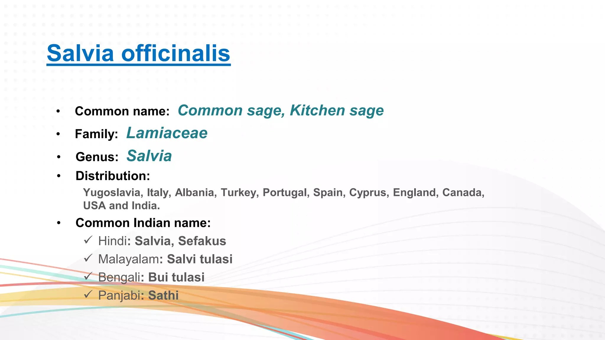 Sage(salvia officinalis) | PPTX