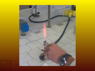 Saggi Alla Fiamma | PPT