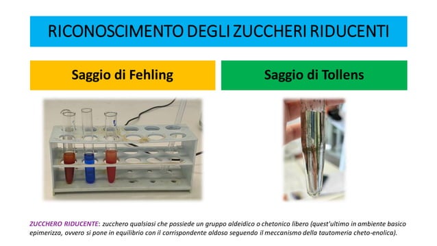 SaggioFehling_SaggioTollens.pdf