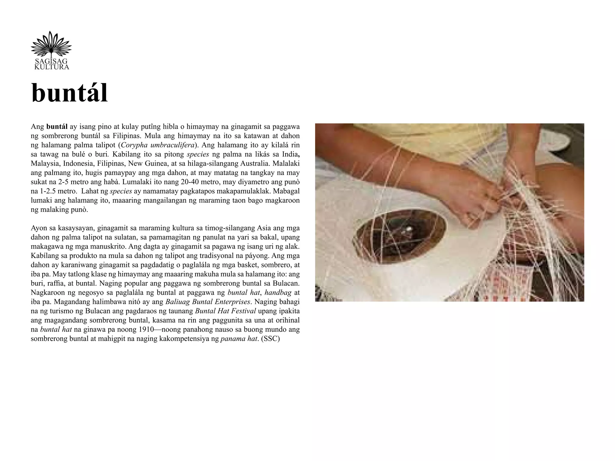 Sagisag ng Kultura | PDF