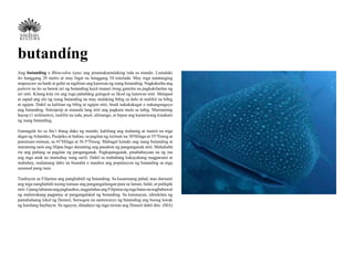 Sagisag ng Kultura | PDF