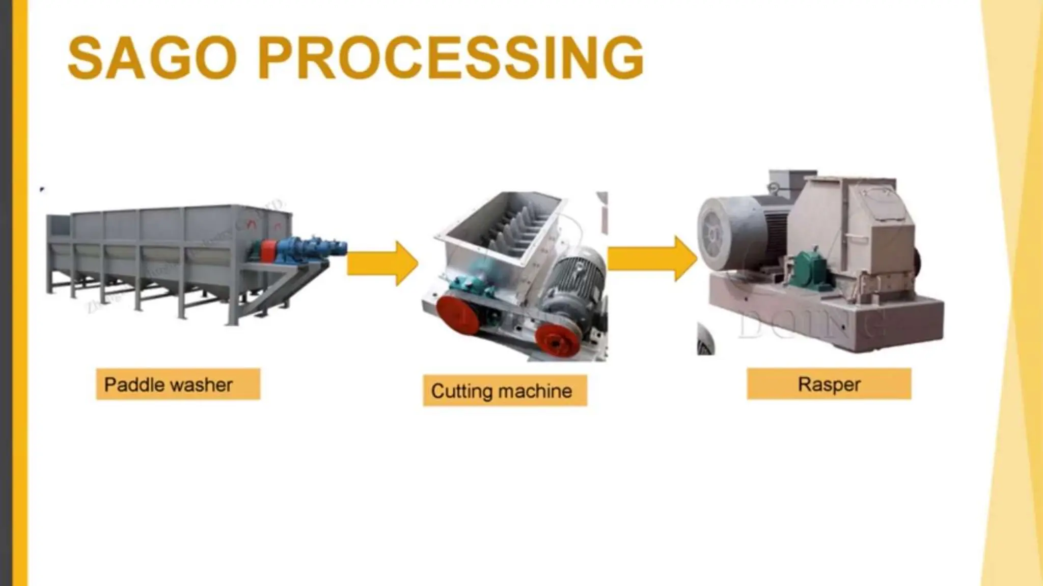 SAGO AS A STAPLE FOOD by SADYA KHAn.pptx