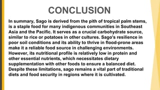 SAGO AS A STAPLE FOOD by SADYA KHAn.pptx